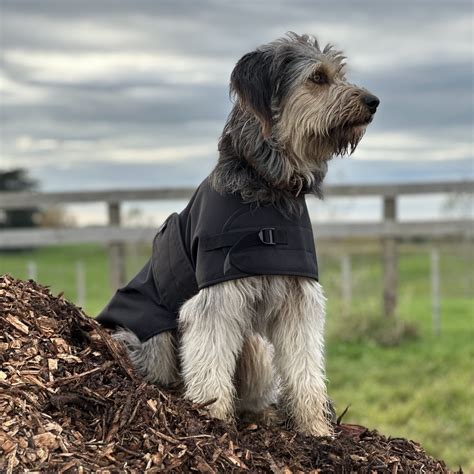 New Zealand Made Waterproof Dog Jacket