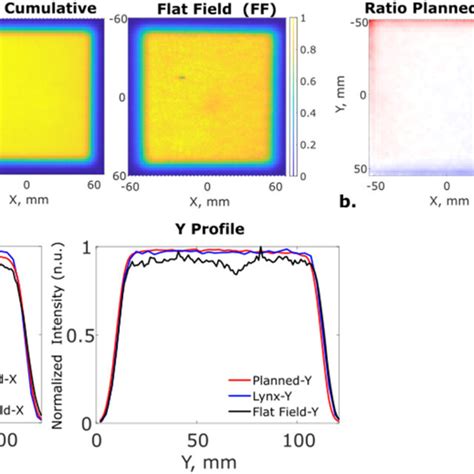 10 × 10 Cm² Flat Field Spatio Temporal Analysis A Normalized