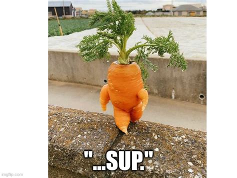 Carrot Memes And S Imgflip