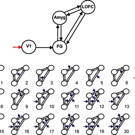 The Models Tested With Bayesian Model Selection A Fully Connected Download Scientific