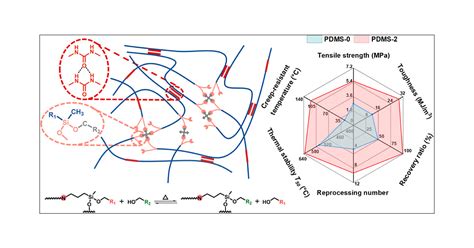 Reprocessable Silyl Ether Based Dynamic Covalent Polydimethylsiloxane