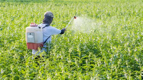 6 Jenis Alat Semprot Pertanian Awas Salah Pilih