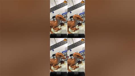 Dinofight Jurassic Jurssicworld Youtube