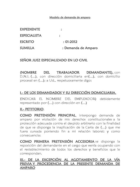 Modelo De Demanda De Amparodocx Demanda Judicial Justicia Prueba