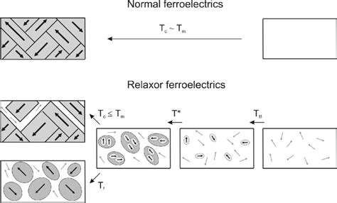 Comparative Diagram Of Temperature Induced Structural Transformations Download Scientific