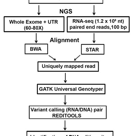 Figure S1 Bioinformatics Analysis Pipeline That Was Used For Download Scientific Diagram
