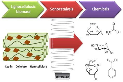 Sonochemistry Applications In Biotechnology Intechopen