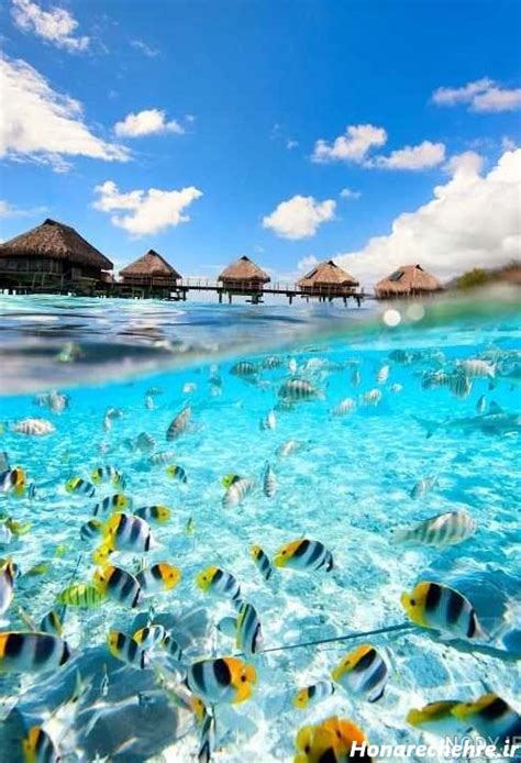 21 عکس از دریا با کیفیت بالا که رویاها را زنده می کند