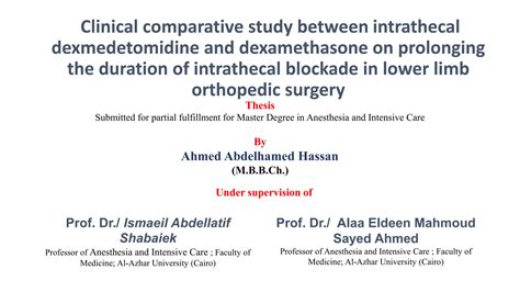 Master Presentation Ahmed Abdelhamed 1pptx