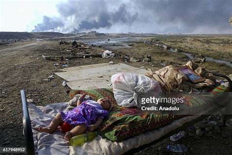 Offensive To Liberate Iraqs Mosul From Daesh Photos And Premium High
