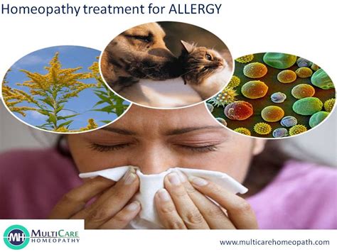 6 Best Homeopathic Medicines For Allergyhay Fever Treatment