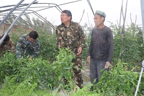 【访民情惠民生聚民心】天灾无情人有情，真情帮扶暖人心 新疆大学红湖网