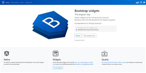 Top Angular Component Libraries For Web Development