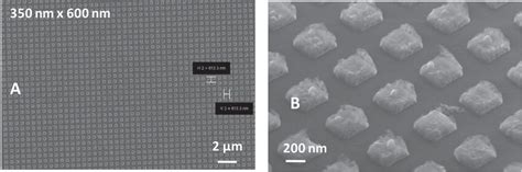 a scanning electron micrographs of a larger area of a 350 × 600 nm