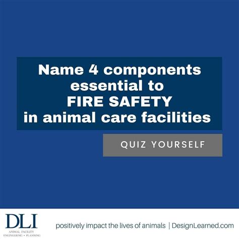 Sayali Tanpure Posted On Linkedin