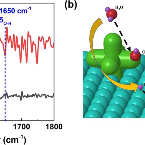 A The Ftir Spectra Of Ni Oh 2 And The Pt Ni Oh 2 5 Sample B A