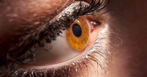 Why Dilated Pupils Are A Good Sign Of Attraction And Maybe Love