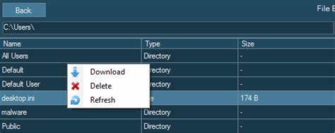 Warzone Rat Analysis Report Domaintools Start Here Know Now