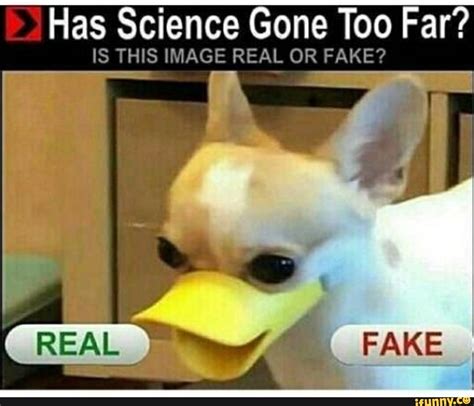 Youve Gone Too Far Meme