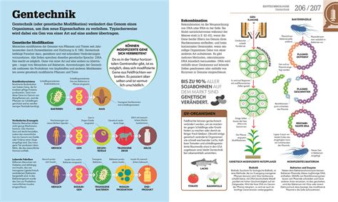 Dkinfografik Biologie Einfach Erklärt Dk Verlag