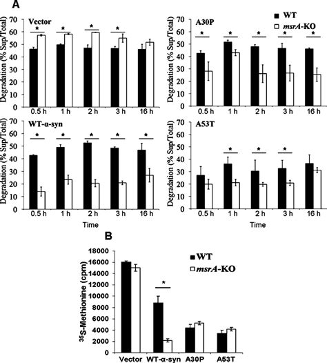 Clearance And Phosphorylation Of Alpha Synuclein Are Inhibited In Methionine Sulfoxide Reductase