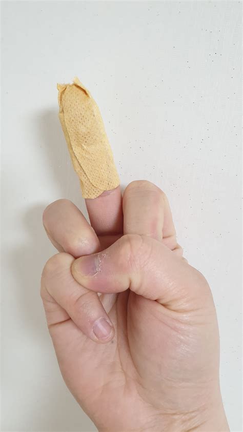 메이플스토리 인벤 이제 손톱 안물어뜯을레요 메이플스토리 인벤 자유게시판 구