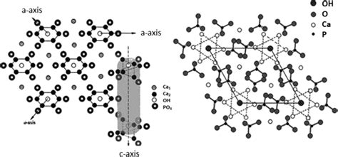 Crystal Structure Of Hydroxyapatite Powder [44] Download Scientific Diagram