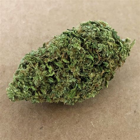 Special Super Glue 10g65hybrid