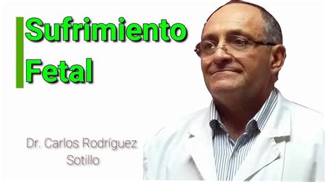 Sandra Aronsons Instagram Twitter And Facebook On Idcrawl