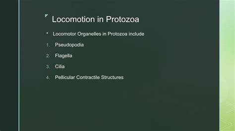 Different Methods Of Locomotion In Protozoa Pptx Biological Sciences Science