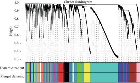 DEG Analysis Was Carried Out By Weighted Gene Coexpression Network