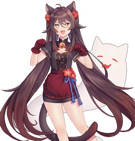 Hd Wallpaper Genshin Impact Anime Girls Hutaogenshin Impact Cat