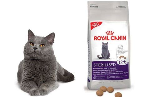Инструкция по применению и обзор кормов Ренал от Royal Canin для котов