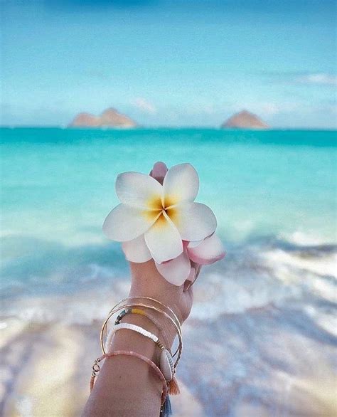 Albums 97 Pictures Summer Vibes Pastel Summer Aesthetic Wallpaper Latest
