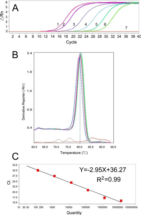 Establishment Of The Standard Curve By SYBR Green I RT PCR A Download Scientific Diagram