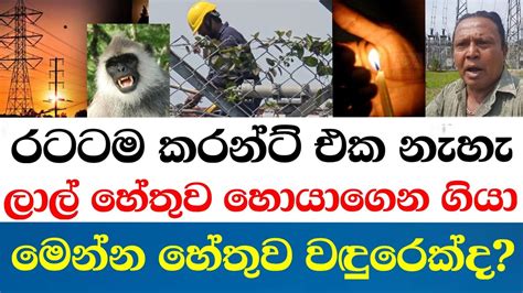 රටටම කරන්ට් එක නැහැ ලාල් හේතුව හොයාගෙන ගියා මෙන්න හේතුව වඳුරෙක්ද Youtube