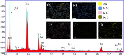 Eds A And Element Mapping Bf Of Li3bi3te2o12002dy³⁺ Sample Download Scientific Diagram
