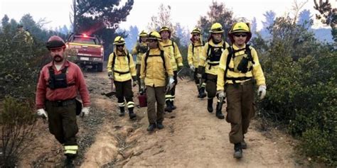 Conaf Abrió Proceso De Postulación A Las Brigadas Forestales De La
