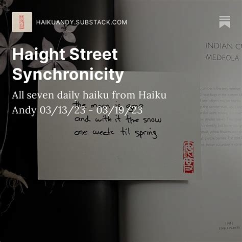 Read My Latest Substack Post Haiku Andy The Daily Haiku Actual Postcard Project