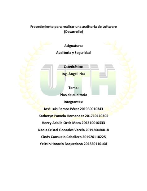 Plan De Auditoria Software Procedimiento Para Realizar Una