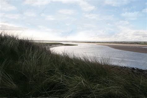 Fever Grass Background Images Hd Pictures And Wallpaper For Free