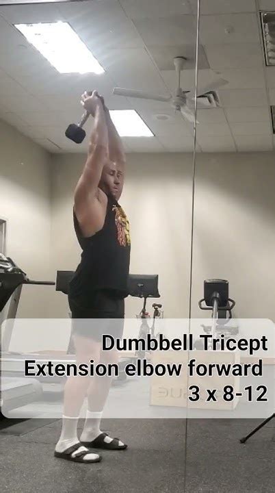 Tricept Extention Youtube