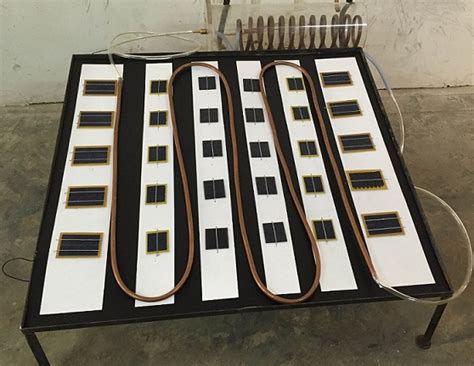 70 Questions With Answers In CARRYING CAPACITY Science Topic