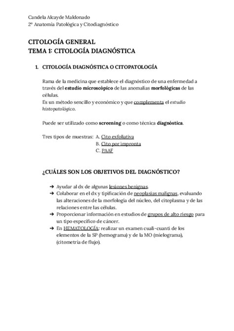 Guia De Imagenes Visu T 8 12 Y 13 Pdf