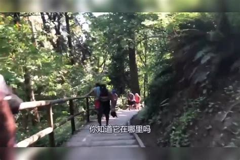 全球最牛 裸体”小镇，男女出门一丝不挂，穿上衣服还得罚款