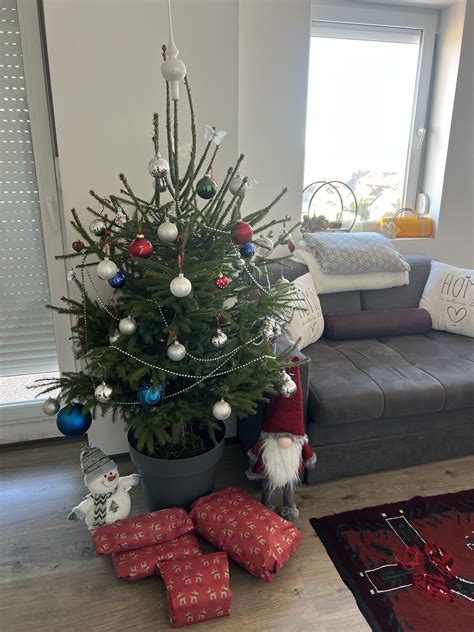 Dragana Stojanovic On Linkedin Praznici Nam Stizu 🎄🎄🎄