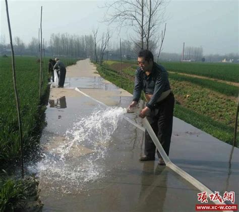 項城市官會鎮掀起樹木澆灌工作熱潮 每日頭條