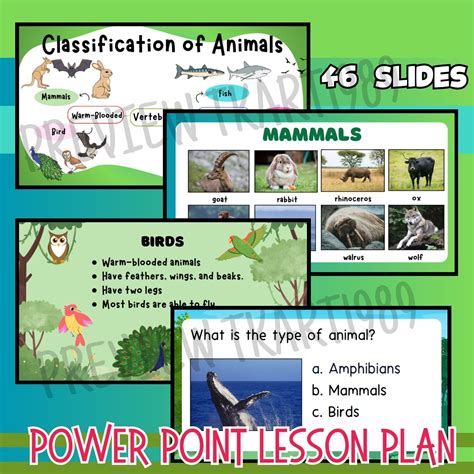 Animal Groups Powerpoint