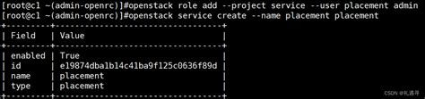 安装配置验证placementlinux中安装openstack Placement Api Csdn博客
