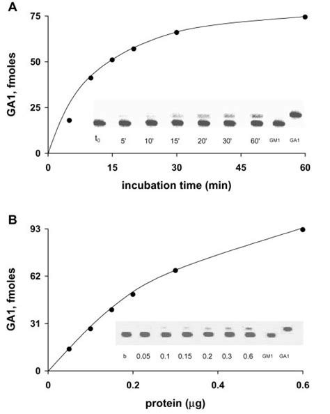 Effect Of Incubation Time And Enzyme Content On Hs Neu2 Action On Download Scientific Diagram